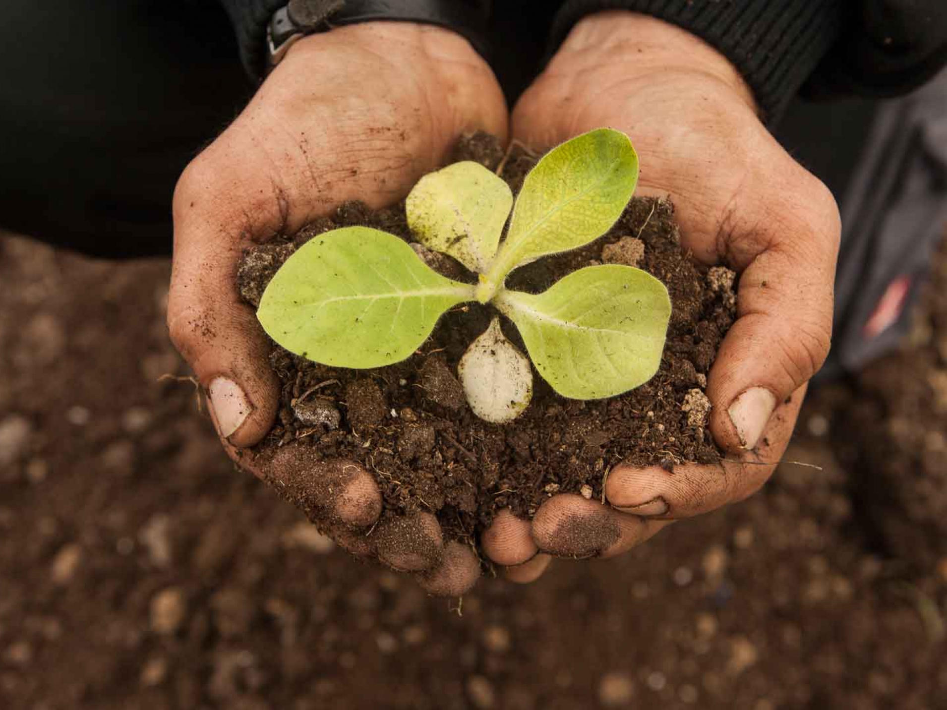 Stewardship Planning Partners